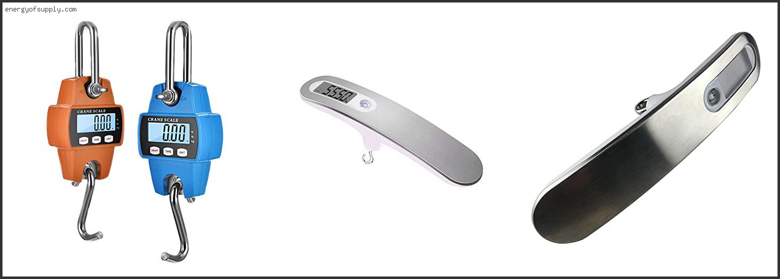 The Best Bow Draw Weight Scale Of The Year