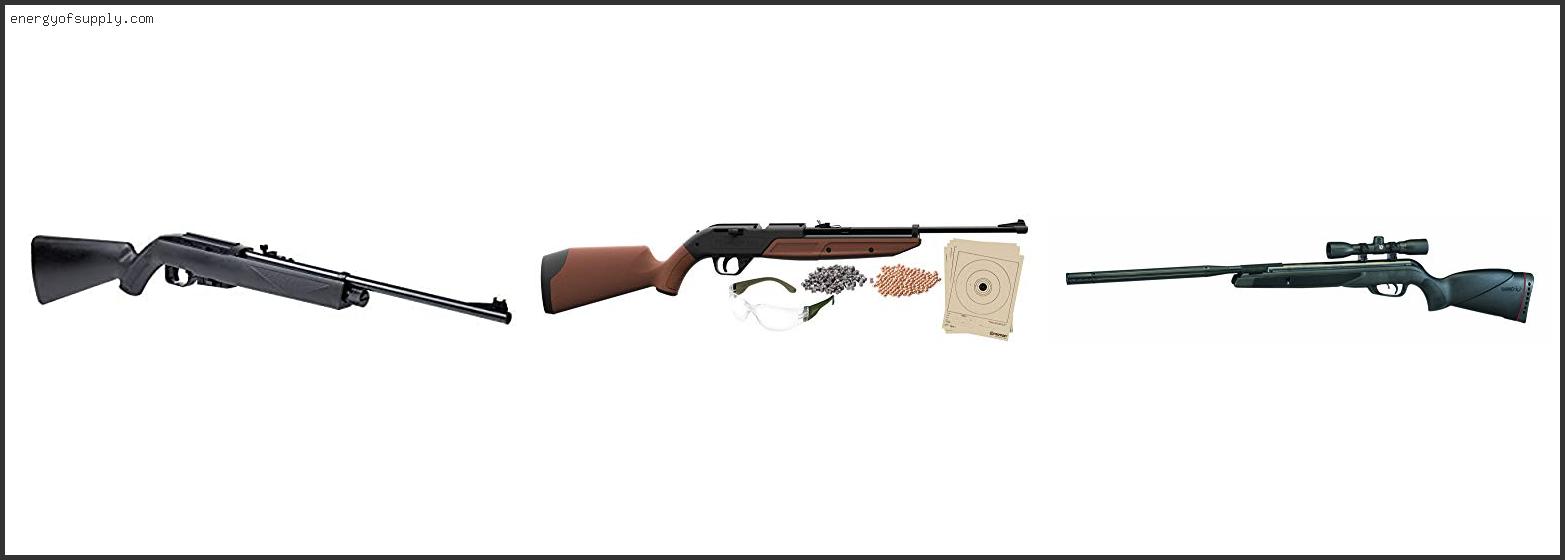 Top 10 Best Pellet Rifle For Rats 2025 ( Updated )